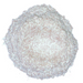 Moonstone Highlighting Balm – Aquarian Soul